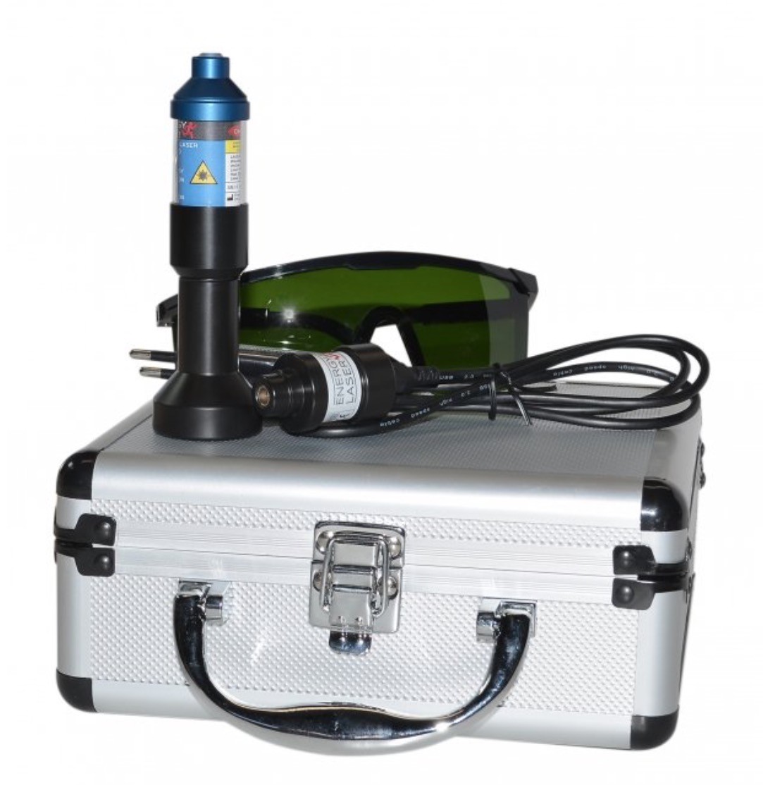 ENERGY LASER - PERSONAL-LASER™ L400 VET HOMECARE - HEALTHYPETS.CH Shop
